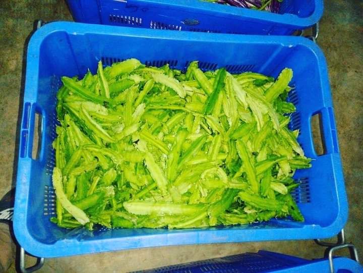 Wing beans - UMG Best Agro