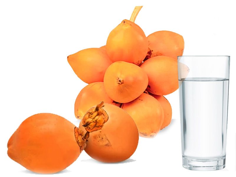 King Coconut - UMG Best Agro