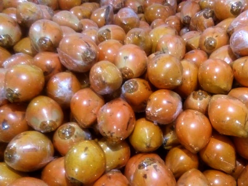 King Coconut - UMG Best Agro