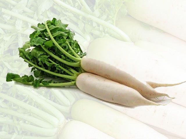 Radish - UMG Best Agro